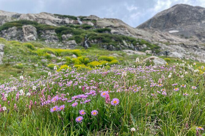 Crested Butte via Cottonwood Pass Private Colorado Adventure Tour - FAQs About the Crested Butte via Cottonwood Pass Tour