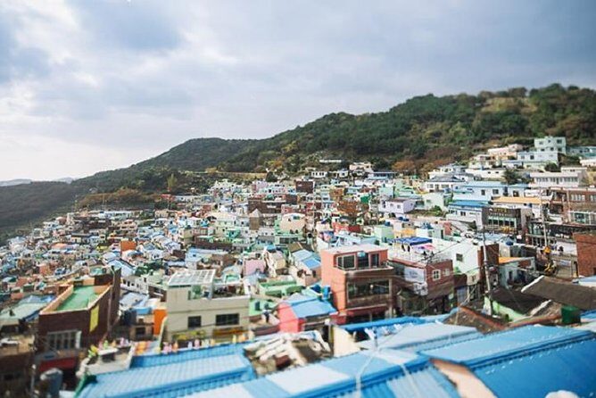 Cruise Layover Busan Highlight Tour with Sea temple and Gamcheon - The Sum Up