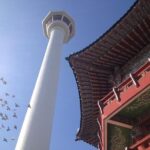 Cruise Layover : Small Group Busan Highlight Day Tour - Transportation, Group Size, and Value