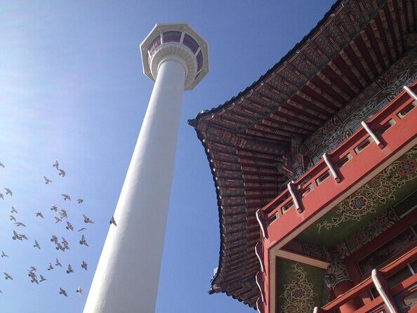 Cruise Layover : Small Group Busan Highlight Day Tour - Transportation, Group Size, and Value