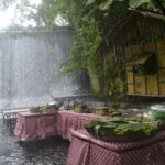 Cruise Shore Excursion of Villa Escudero with Lunch - Breaking Down the Itinerary