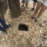 Cu Chi Small Group Half Day Tour - Exploring the Cu Chi Tunnels