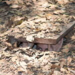 Cu Chi Tunnels Half-Day: Big Group Vietnam War Experience - Why Visit the Cu Chi Tunnels?