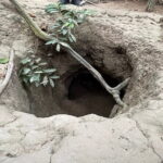Cu Chi Tunnels Historical Journey - Breaking Down the Itinerary