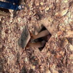 Cu Chi Tunnels Journey Morning or Afternoon - Why Choose the Cu Chi Tunnels Tour?