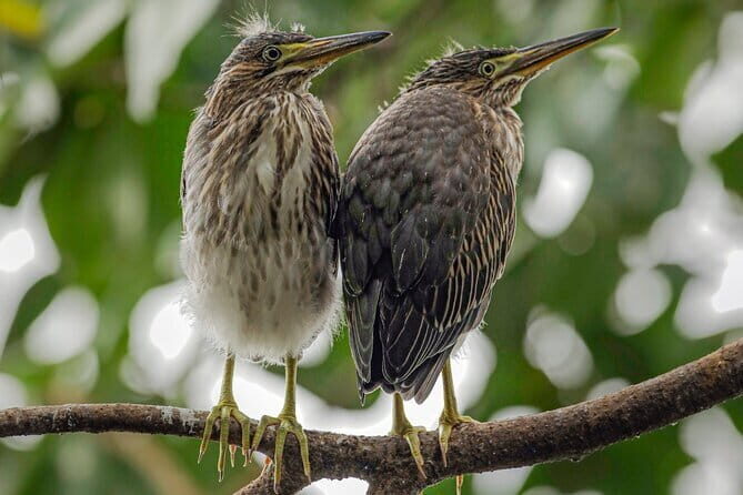 Cuc Phuong National Park Adventure: Trekking with Local Guide - The Real Value of the Tour