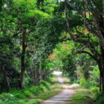 Cuc Phuong National Park and Bear Sanctuary Full Day Tour - Why Choose This Tour?