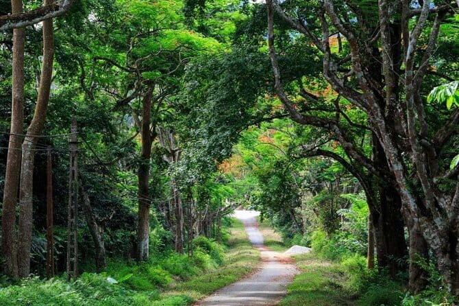 Cuc Phuong National Park and Bear Sanctuary Full Day Tour - Why Choose This Tour?