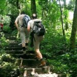 Cuc Phuong National Park Group Day Tour - Who Would Love This Tour?