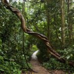 Cuc Phuong National Park Private Day Tour: Trekking & Primates - The Sum Up: Who Will Love This Tour?