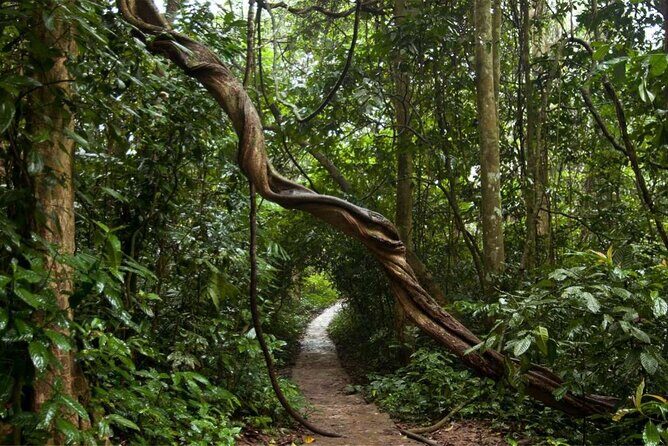 Cuc Phuong National Park Private Day Tour: Trekking & Primates - The Sum Up: Who Will Love This Tour?