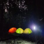 Cuc Phuong National Park: Trek & Camp in Jungle 2 days - What’s Included and What’s Not