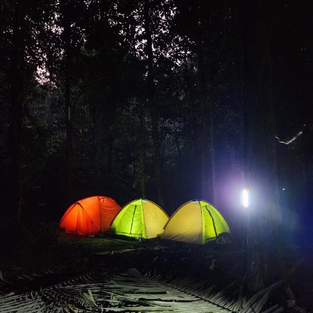 Cuc Phuong National Park: Trek & Camp in Jungle 2 days - What’s Included and What’s Not