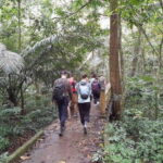 Cuc Phuong Van Long Full Day Trip From Ha noi - The Itinerary: From Hanoi to Vietnam’s Natural Wonders