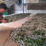 Cultural Bike Tour in Nam Cat Tien - The Sum Up