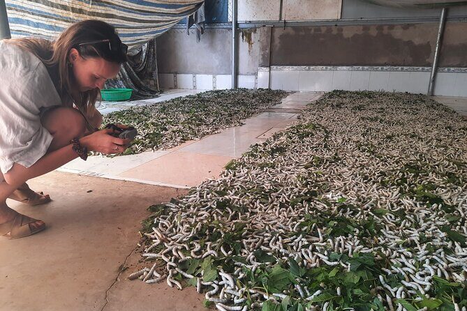 Cultural Bike Tour in Nam Cat Tien - The Sum Up