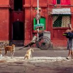 Cultural Confluence of Kolkata - Culture Kaleidoscope Tour - The Itinerary Breakdown