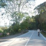 Cultural Riverside Cycling - The Real-World Feedback: What Travelers Say