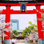 Cultural Temple Tour with a Real Local in Calm East Tokyo - The Experience: What Really Sets This Tour Apart