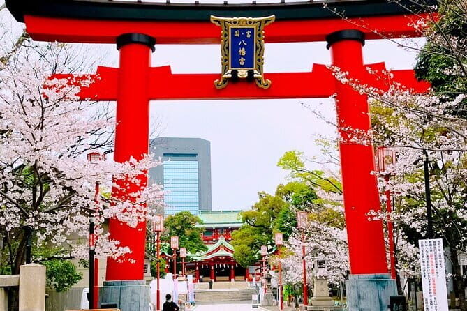 Cultural Temple Tour with a Real Local in Calm East Tokyo - The Experience: What Really Sets This Tour Apart
