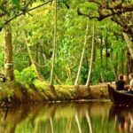 Cultural Tour To Vaikom Village - Detailed Breakdown of the Itinerary