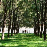 Cultural Triptych Ditan Yonghe Gong and Guozijian from Beijing - The Practical Side of the Tour