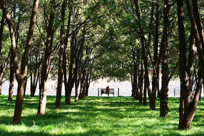 Cultural Triptych Ditan Yonghe Gong and Guozijian from Beijing - The Practical Side of the Tour