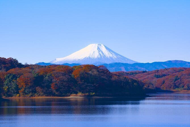 Customizable 10 Hour Private Tour from Tokyo to Mount Fuji - Deep Dive into the Experience