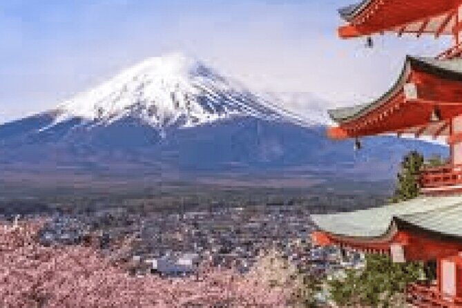 Customizable Private Mt. Fuji Tour with Van - Key Points