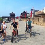 Customizable Private Terracotta Army Tour - The Experience: What Travelers Can Expect