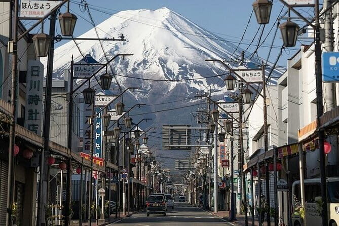 Customizable Private Tour in Mt. Fuji with Private Driver - Why This Tour Offers Great Value