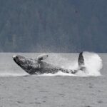 Customizable Private Wildlife Tour - What to Expect at the Meeting Point and During the Tour