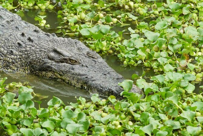 Customize Langkawi Full Day Tour (8 hrs-Private Tour) - The Sum Up