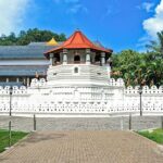 Customized 11-Day Flexible Sri Lanka Tour with Private Car - An In-Depth Look at the 11-Day Itinerary