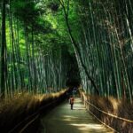 Customized Private Kyoto Tour by a local tour guide - Authentic Experiences from Past Travelers