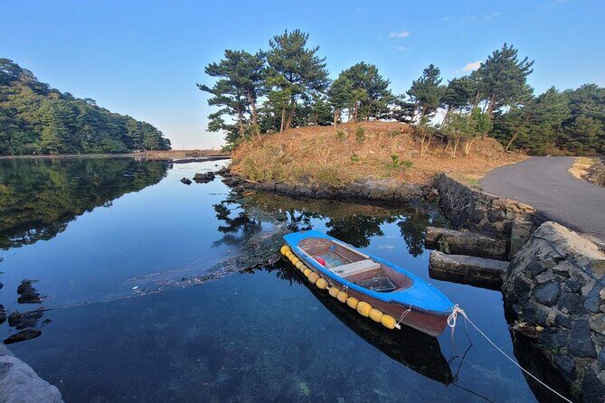 Customized private tour in Jeju island - South Jeju: Waterfalls and Cliffs