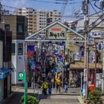 Customized Private Walking Tour of YANAKA in Tokyo Nostalgia - Key Highlights of the Itinerary