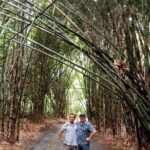 Customized Tours of Bali - Practical Details: What You Need to Know