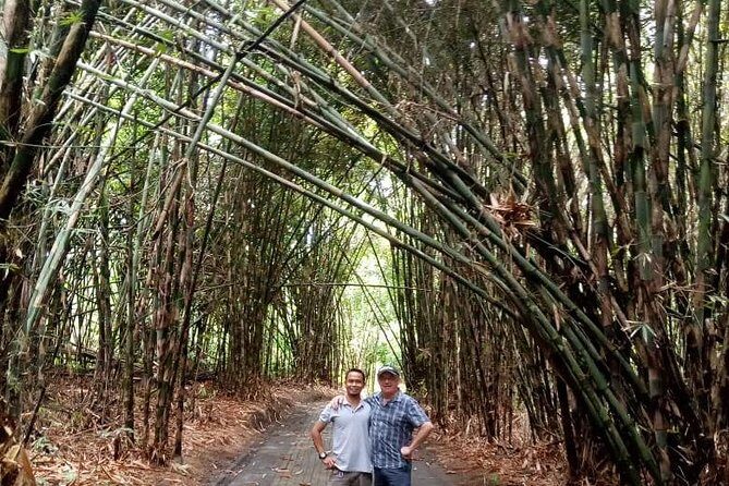 Customized Tours of Bali - Practical Details: What You Need to Know