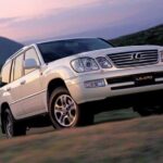 Customized Trips with Your Mongolian Car Charter, All in Package - What to Expect from the Itinerary