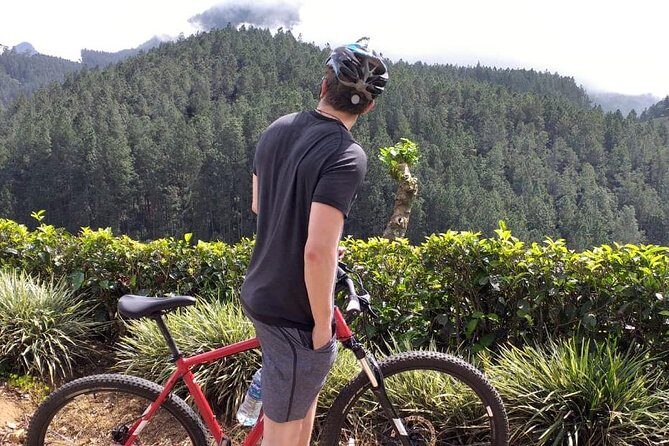 Cycle from Adam's Peak to Kithulgala and go white water rafting - The Lunch Break and Transition to Rafting