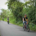 Cycling Adventure in Bali - Is This Tour Right for You?