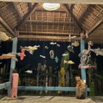 Cycling Cam Thanh & Thanh Dong Organic Farm - What to Expect from the Tour