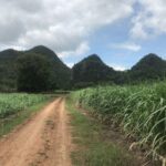 Cycling in rural Kanchanaburi area - Detailed Review of the Experience