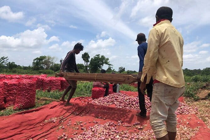 Cycling in the Backyards of Sigiriya - Who Should Consider This Tour?