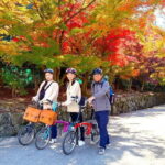 Cycling Tour at Uji's Matcha Green Tea Fields and Heritage - What You Can Expect During the Tour