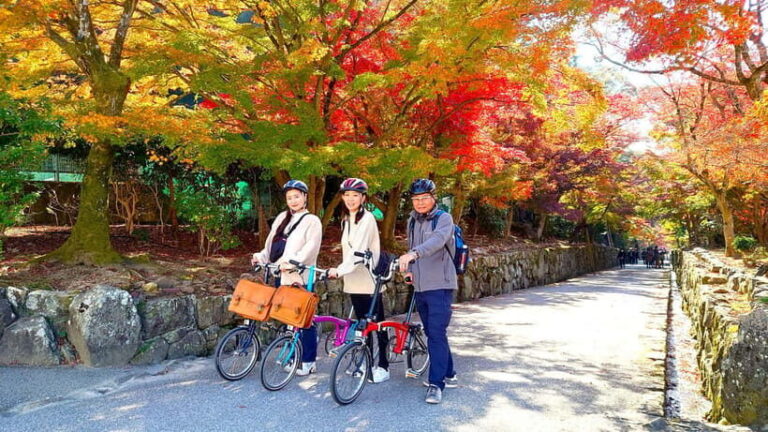Cycling Tour at Uji's Matcha Green Tea Fields and Heritage - What You Can Expect During the Tour