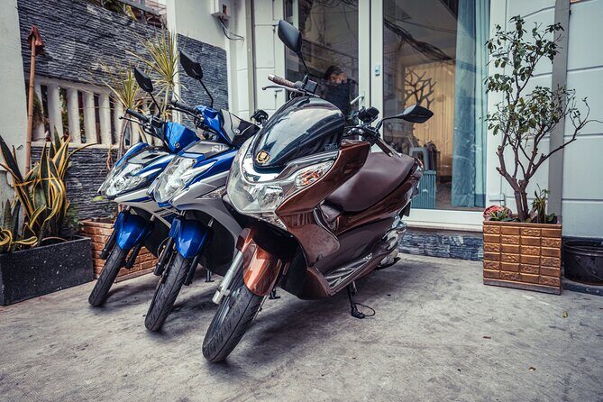 D1 Motors - The Bikes: Well-Maintained Japanese Machines