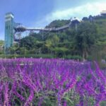 Da Lat: Countryside Chuon Chuon Bistro Entry Ticket - The Whole Experience: Beyond Just Dining