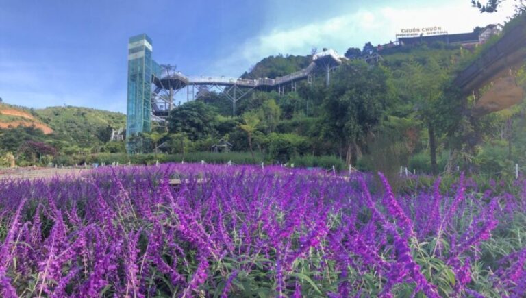 Da Lat: Countryside Chuon Chuon Bistro Entry Ticket - The Whole Experience: Beyond Just Dining